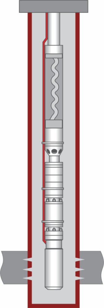 Submersible low-speed motor EDSS (System-Service electric motor) for ...